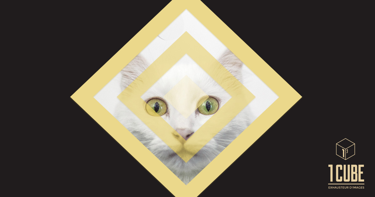 1CUBE | Bienvenue sur le site d'1CUBE